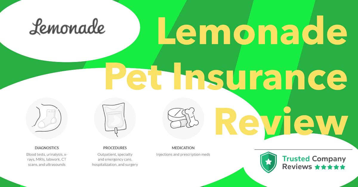 Lemonade Pet Insurance Review and Highlights 2025
