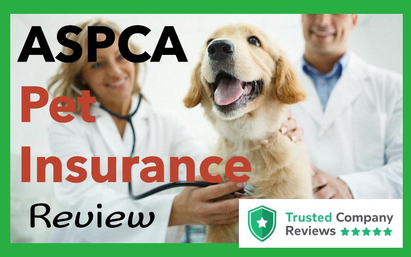 ASPCA Pet Insurance Review 2025: Multi-Pet Discounts Available
