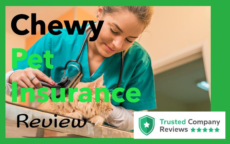 Chewy Pet Insurance Review 2025: Customizable Pet Health Care