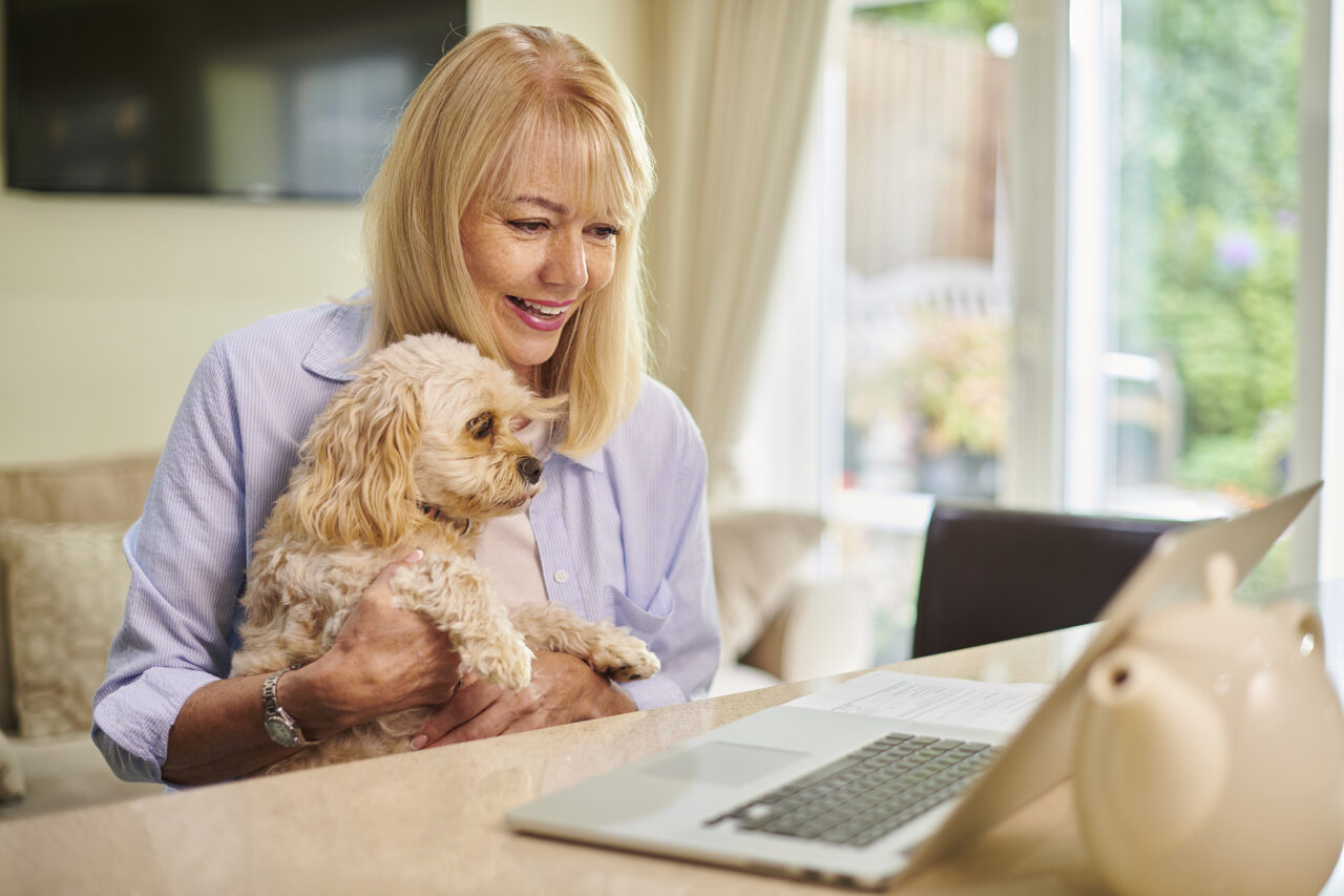 Fetch vs Lemonade Pet Insurance: Coverage, Cost & Differences